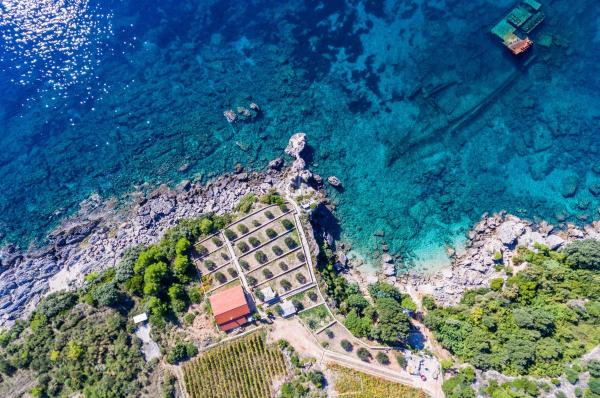 Villa Sea Edge - Trpanj