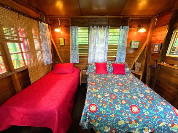 Judy House Cottages And Rooms - Jamaica