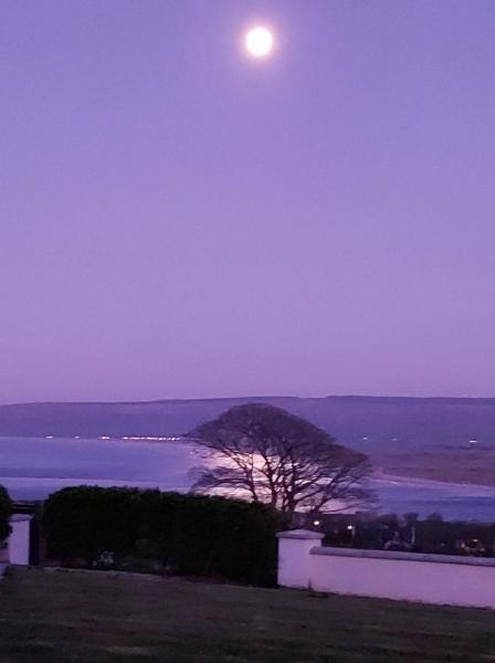 Foyle View Cabin - Ireland