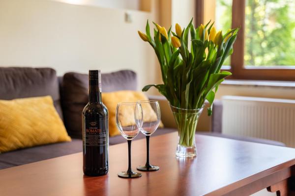 Karkonosky Apartamenty - Huta Szkła - Rokytnice nad Jizerou