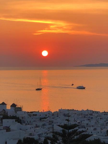 Ibiscus Boutique - Mykonos Region