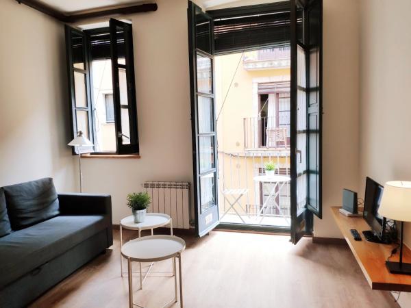 Apartment Histórico - ジローナ
