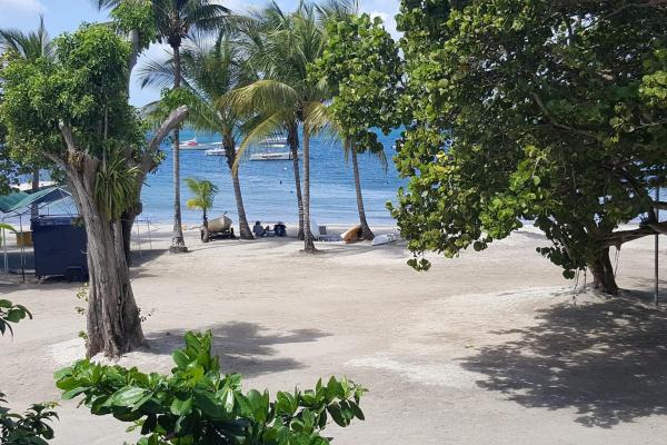 Chambre Chez L Habitant Sur La Plage Les Pieds Dans L Eau, Wifi - 마르티니크