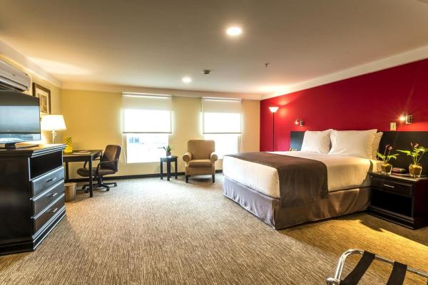 Urban Green Hotel And Suites - San José