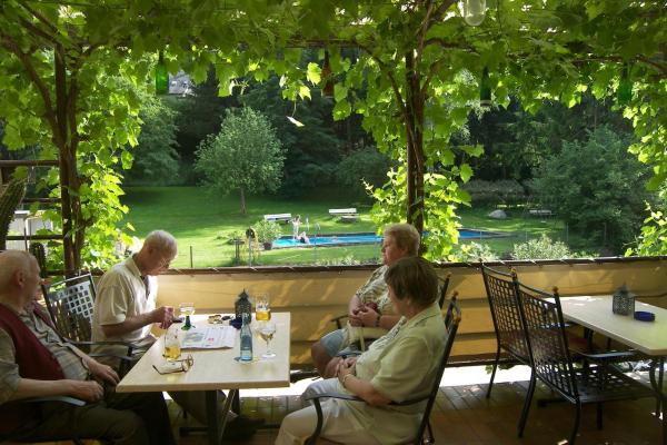 Hotel Dampfmühle - Zell (Mosel)