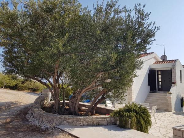 Apartment Zečevo - Primošten