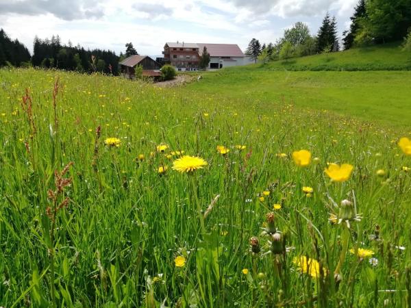 Stockreutehof - Hittisau