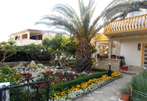 Big Terrace Apartment (4776-1) - Zaton