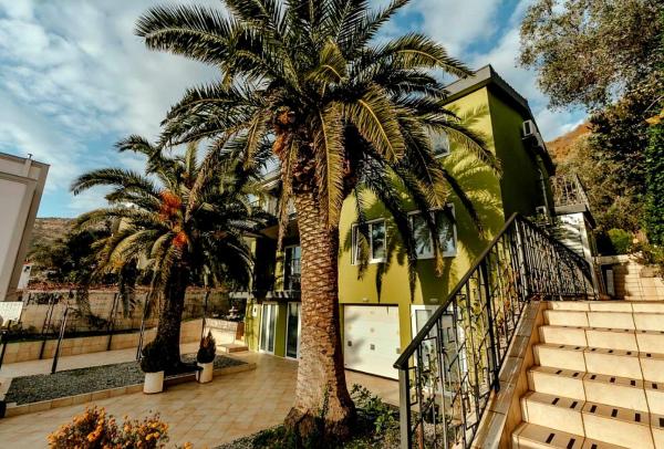 Olive Garden Apartment - Montenegro
