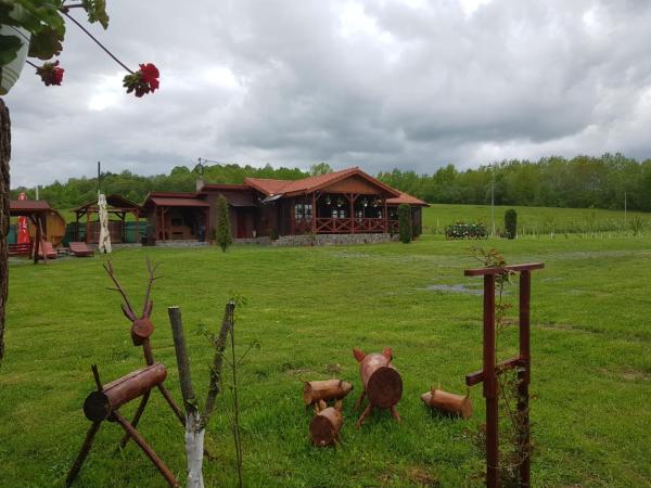 Cabana Dopca - Rupea