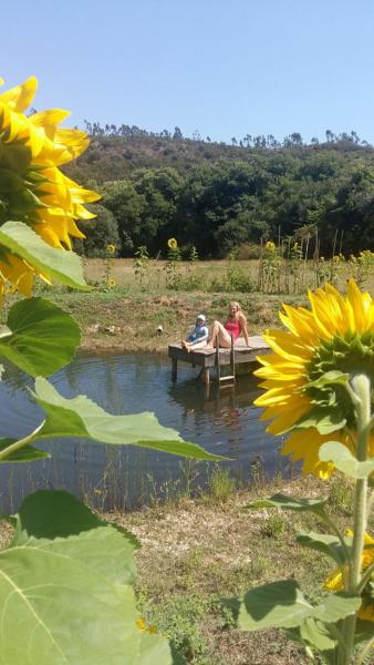 New Built Studio, In Nature Close To The Beach - Odeceixe