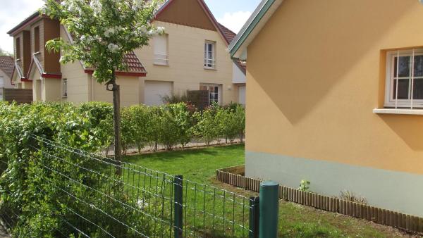 Les Pluviers En Baie - Baie de Somme
