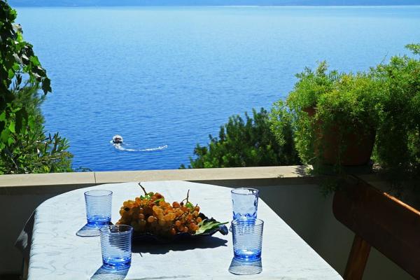 Apartment In Pisak With Sea View, Terrace, Air Conditioning, W-lan 102-2 - Mimice