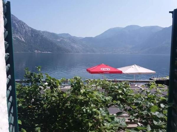Apartments Dabovic - Montenegro