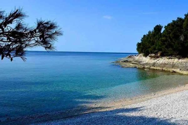 Apartment Damir 50 Meters From The Beach - Pješčana Uvala