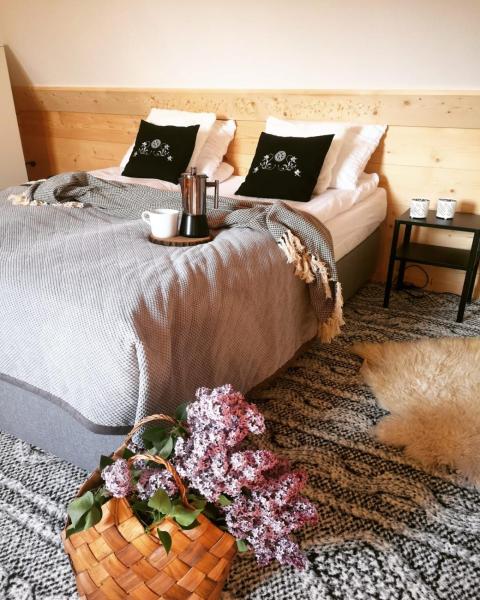 Chaty Misiagi - Zakopane