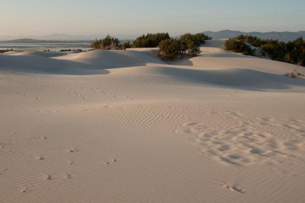 Casa Vacanze Sardegna " Tzia Maurissia " - Cerdeña