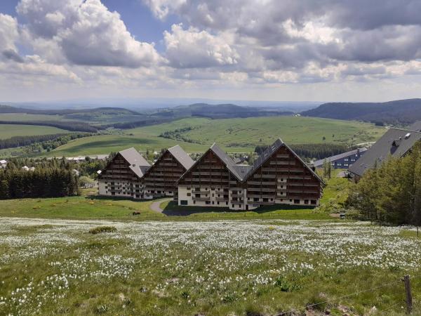 Appartement Dans Residence De Tourisme - Lac Pavin