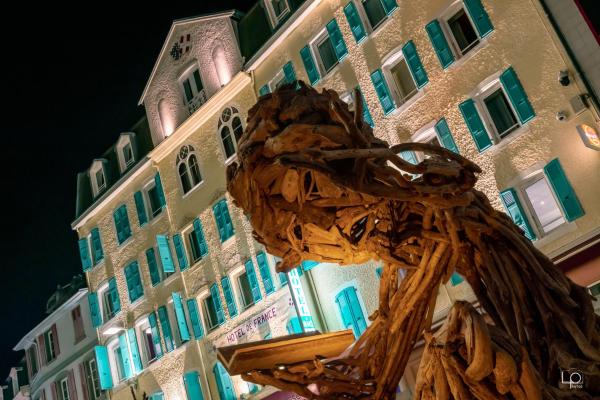 Hôtel De France Contact-hôtel - Lac Léman - Lake Geneva