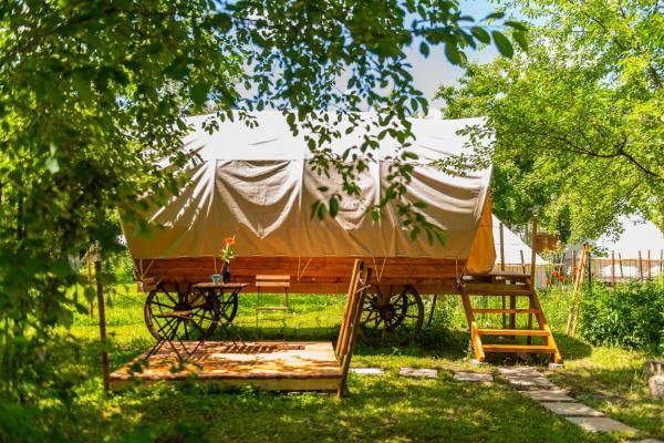Dragonfly Gardens - The Wagons - Brașov, Rumanía