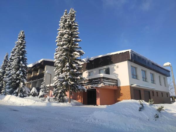 Penzion Aktiv - Harrachov