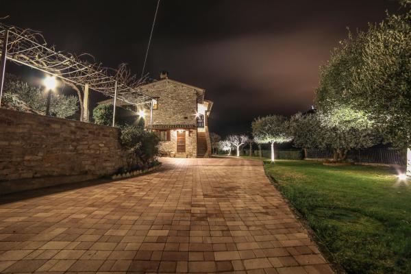 La Casa Tra Gli Ulivi - Assisi