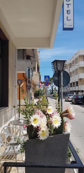 Hotel Blurelda - Montesilvano