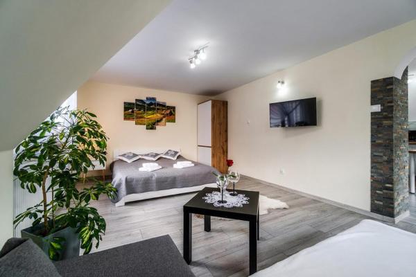 Apartament Polany - Kościelisko