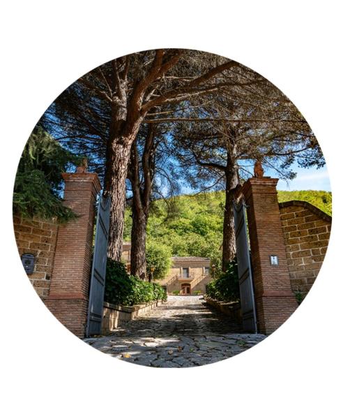 Tenuta Montelaura - Avellino
