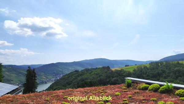 Schau-rhein#2 - On Top Of Bacharach, Rhineview - Bacharach