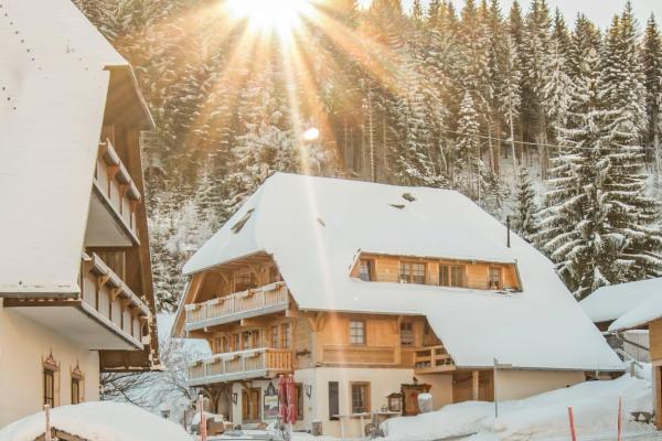 Holiday Apartements By Hotel Grüner Baum Feldberg - Feldberg