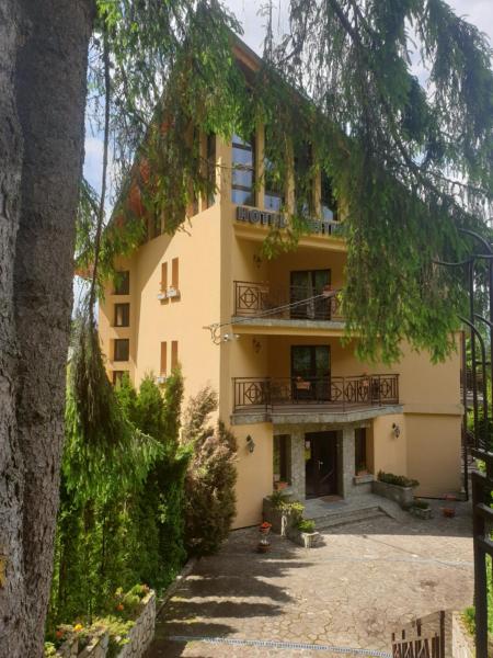 Hotel Meitner - Predeal