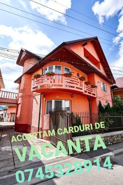 Camere De Inchiriat Roman - Vișeu de Sus