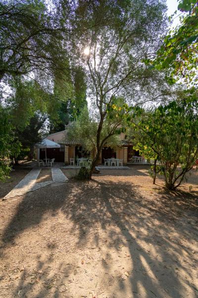 Villa Olive Apartments - Corfú