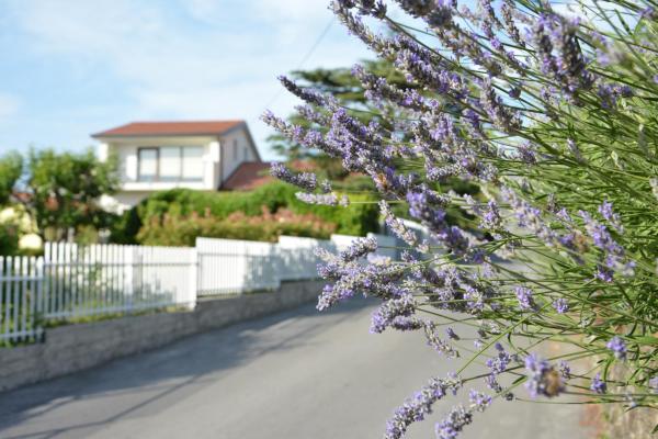 Vila Palma - App Palma & Room Figa - Marezige