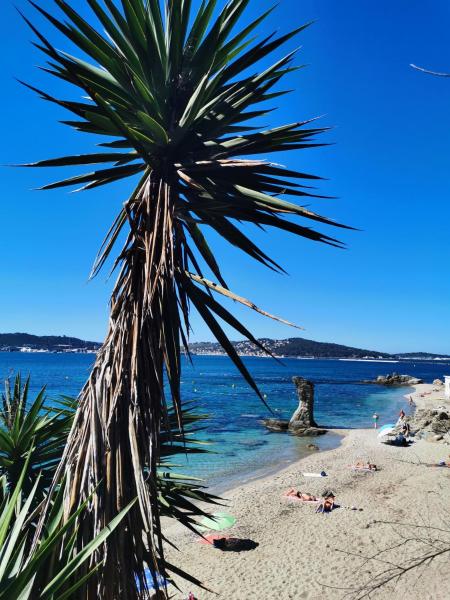 Studio Avec Vue - Saint-Mandrier-sur-Mer
