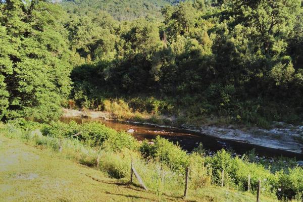 Maison F4 Bord De Rivière Dans Un Hameau Du Village De Pruno En Haute Corse Dix Min De La Plage à Folelli - Corsica