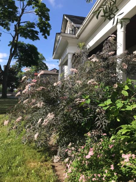 White Swan House - Niagara Falls