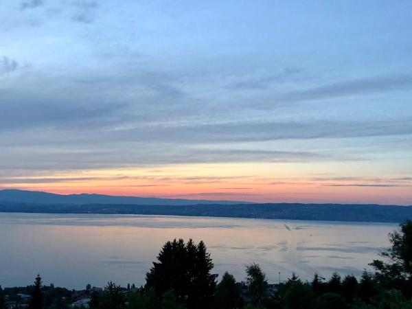 Les Vies En Rose - Évian-les-Bains