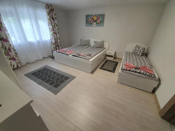 Casa De Oaspeti Anna - Sovata