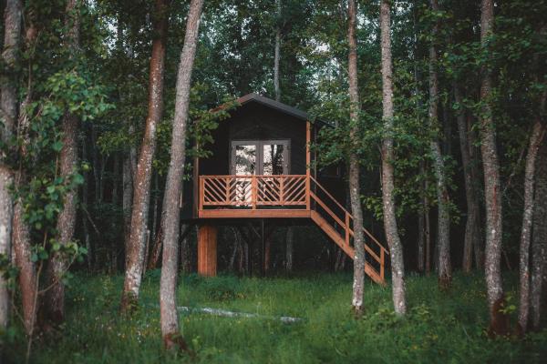 Hekso Treehouse - Estland