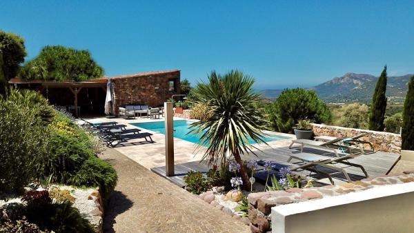 Au Pied Des Oliviers - Corsica