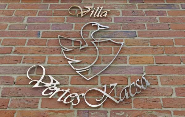 Villa Vérteskacsa - Hungary