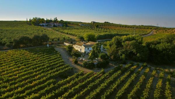 Bodega Boutique Finca Buytrón - Montilla