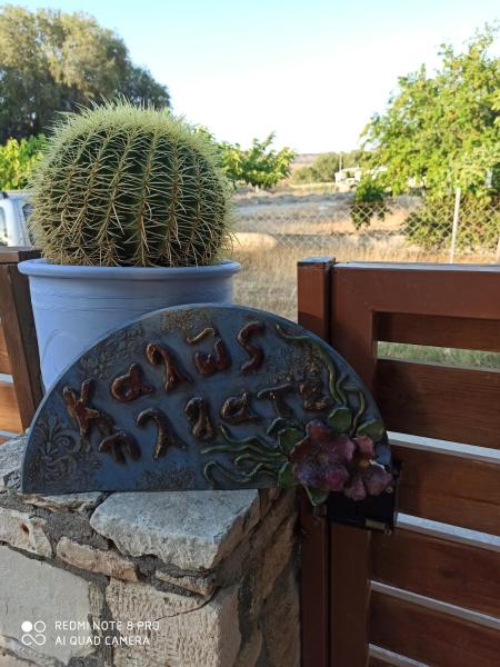 Cactus Home - Pitsidia
