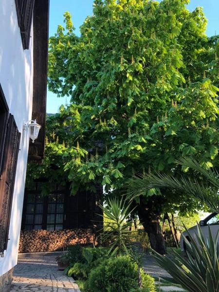 Echo Apartman - Tihany