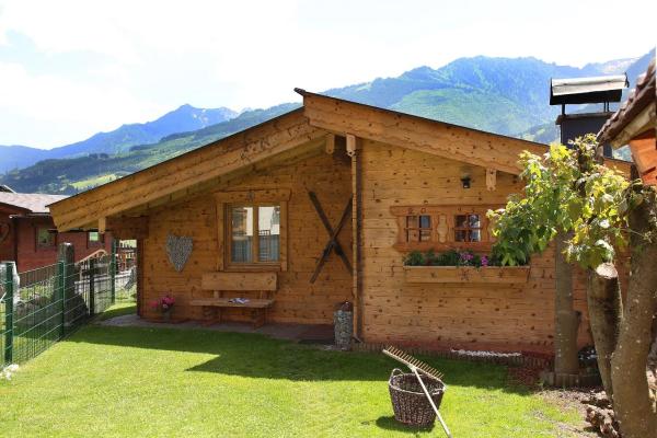 Tauernhütte - Viehhofen