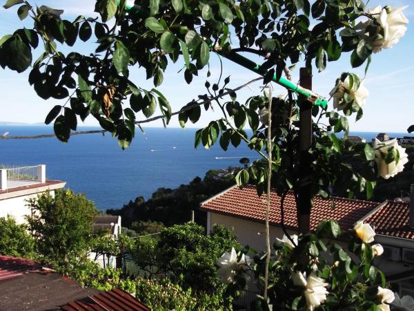 Le Mimose - Vietri sul Mare