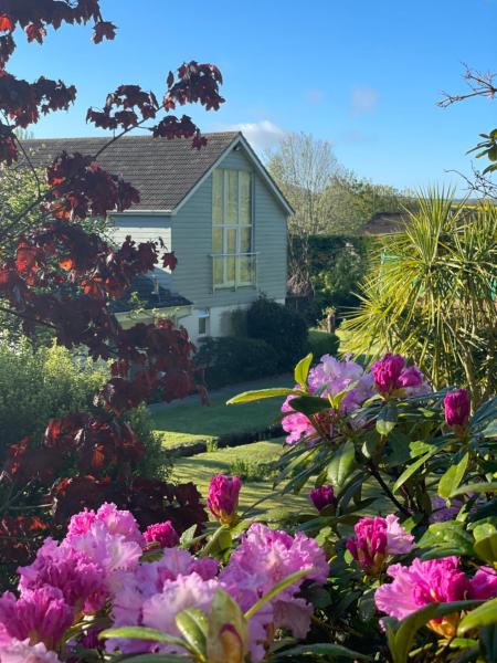 Suite Of Rooms Near Kingsbridge, Family Friendly. - Salcombe