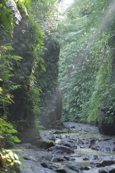 Pramana Giri Kusuma - Bali
